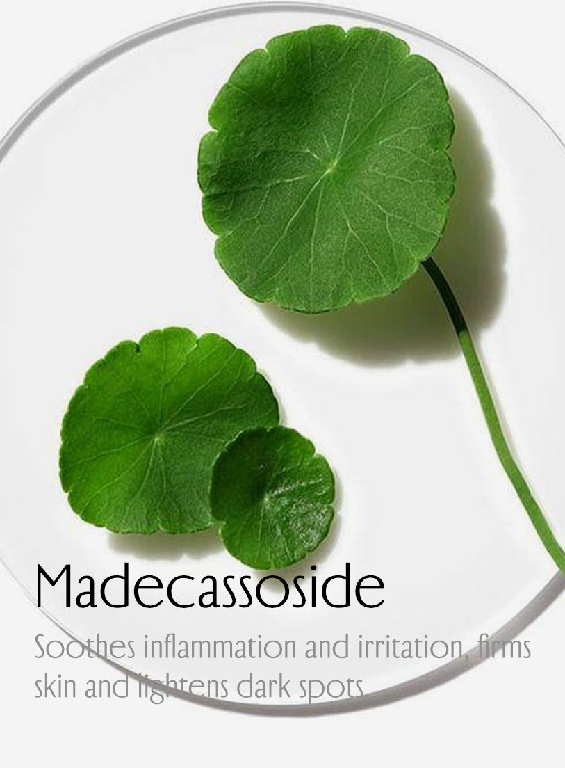 DEWY SKIN ESSENCE - Brightening Repairing Facial Serum – INGS SKINCARE